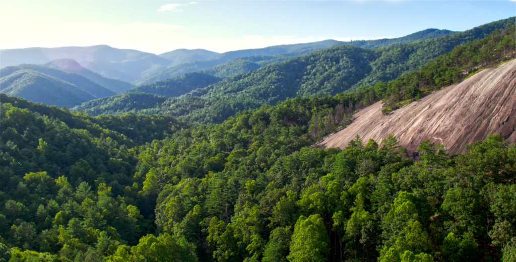 Hard times could have divided us